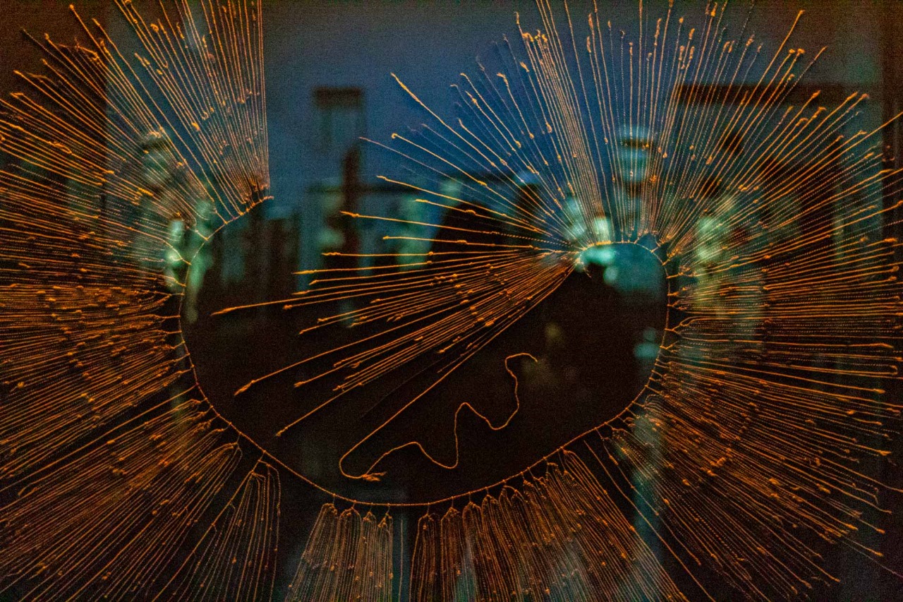 Líneas de texto y de código: mujeres construyendo otro mundo a través ...